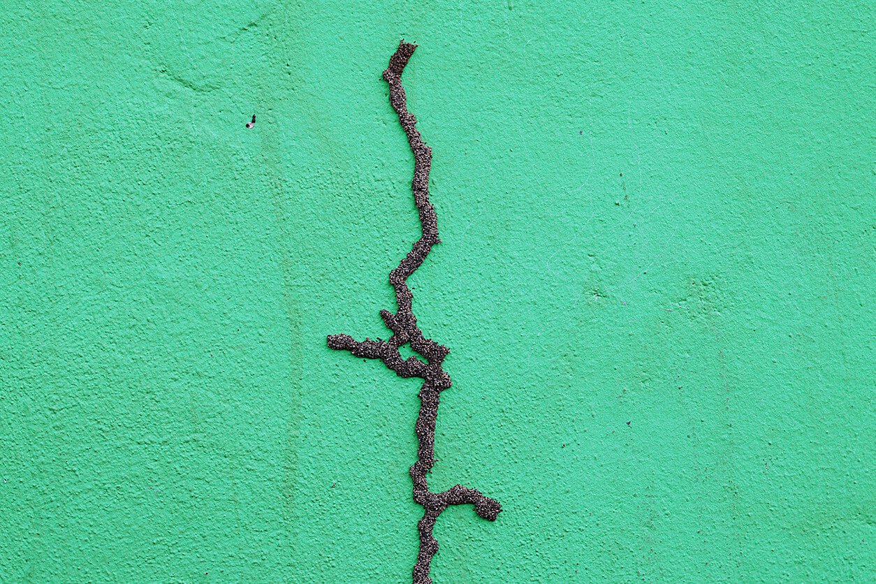 Termite Mud Tubes: Identification, Prevention, and Treatment | All "U ...